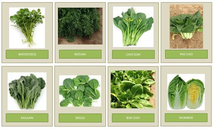 Amazon.com : Set of 8 Asian Green Vegetables Seeds Hat giong rau an la ...