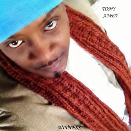 Amazon.com: Witness : Tony Amey: Digital Music
