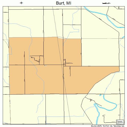 Amazon.com: Large Street & Road Map of Burt, Michigan MI - Printed ...