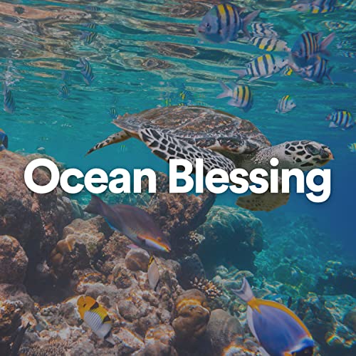 Écouter Ocean Blessing par Sounds of Nature Noise, Ocean Sounds FX ...