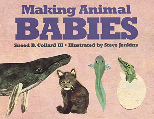 Making Animal Babies: Collard, Sneed B., Jenkins, Steve: 9780395953174 ...