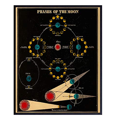 Amazon.com: Astronomy Moon Phases Wall Art Print - 8x10 Vintage Lunar ...