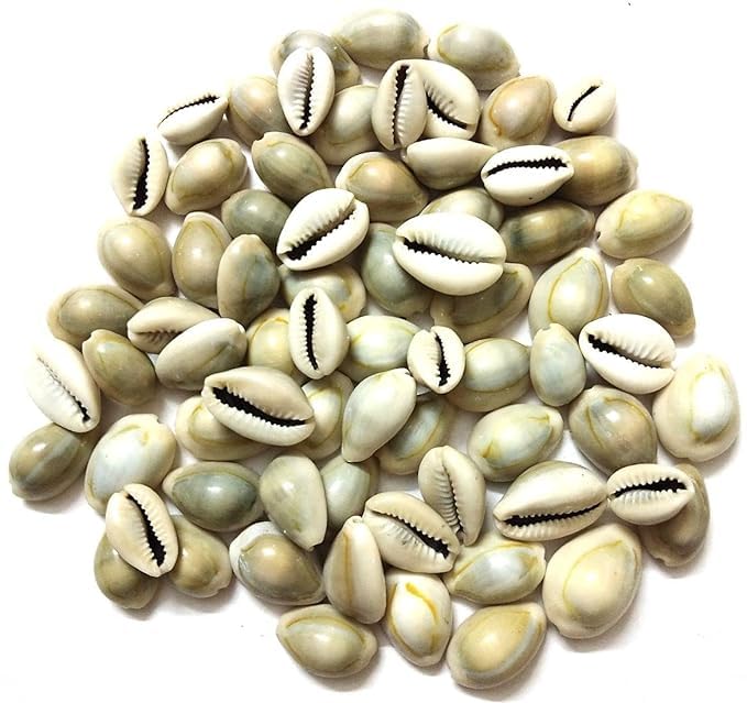 BABA KA DEEWANA Baba ka deewana Natural Lakshmi Yellow 51 Pieces ...