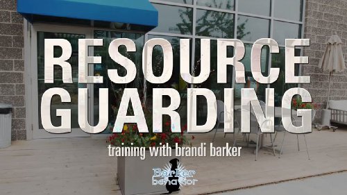 10 Best Dog Foods to Stop Guarding Growls - 2021 Buying Guide and Reviews - Furry Folly