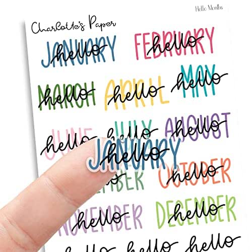 Amazon.com: Transparent Hello Months Planner Stickers, Undated Planner ...