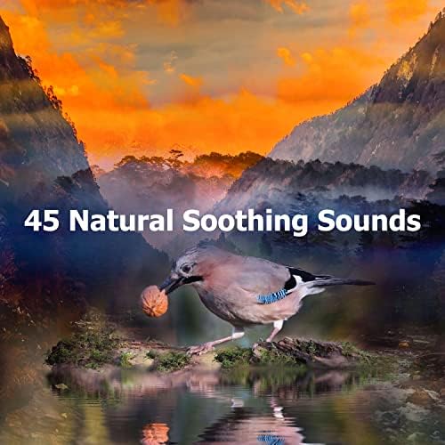 Amazon MusicでNatural Sounds, Nature Sounds Radio & Outdoor Field Recordersの45 Natural Soothing ...