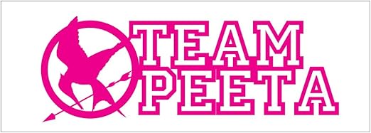 Hunger Games Team Peeta Mocking Jay Sticker Decal. Pink - Wall Decor ...