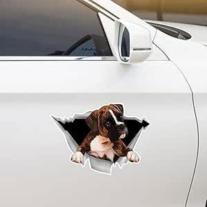 Amazon.com - We Like Riding in Cars Boxer Car Window Decal, 3D Fawn ...