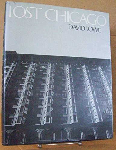 Lost Chicago: Lowe, David: Amazon.com: Books