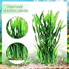 Amazon.com: QUOZUO Fish Tank Decorations Plants, 20pcs Aquarium ...