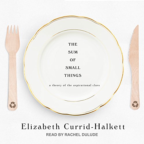 Amazon.com: The Sum of Small Things: A Theory of the Aspirational Class ...