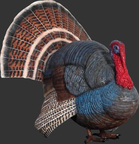 Amazon.com: Wild Turkey Statue,31.5"H : Home & Kitchen