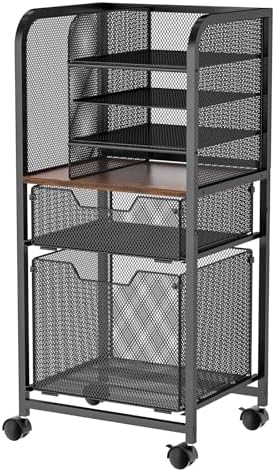 Amazon.com: 6-Tier Rolling File Cart with 2 Drawers, File Cabinet ...