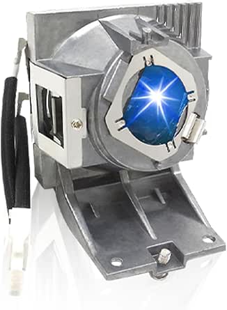 Amazon.com: Poxtedsr RLC-120/RLC-127 Replacement Projector Lamp ...