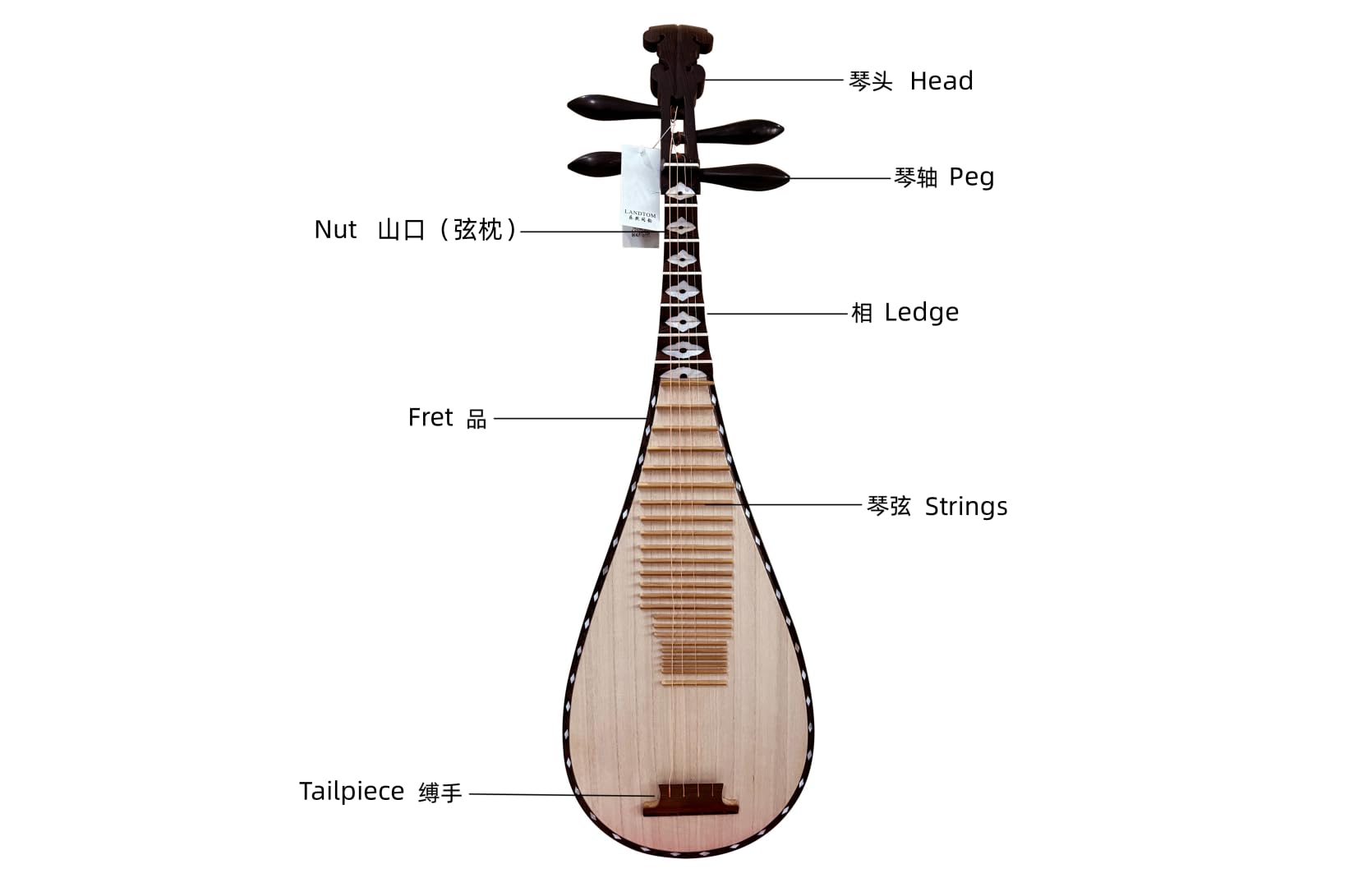 Snapklik.com : Professional Chicken Wing Wood Chinese Lute Traditional ...