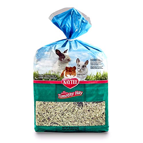 Kaytee Timothy Hay, 48-oz bag (B0002DK8OS) | Amazon price tracker ...