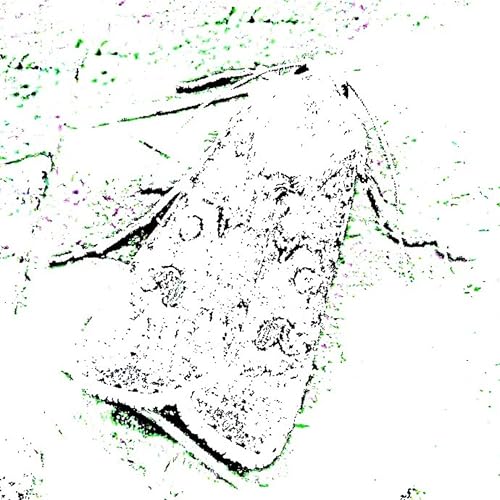 Reproducir Concurrent de Turnovermoth en Amazon Music