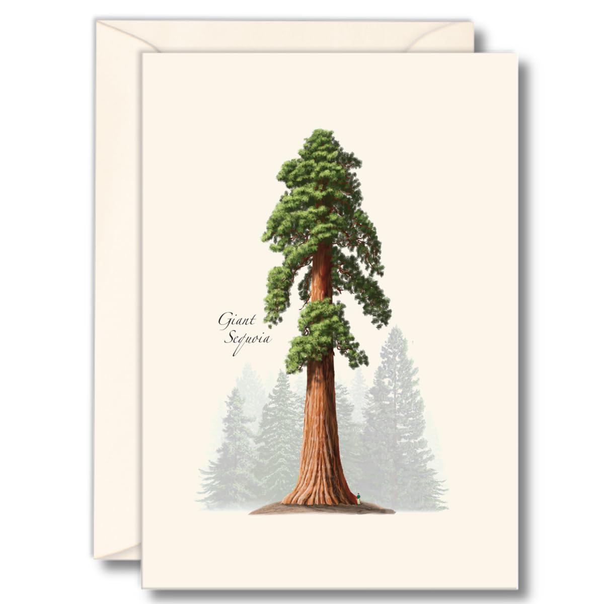 Amazon.com : Earth Sky + Water - Giant Sequoia Notecard Set - 8 Blank ...