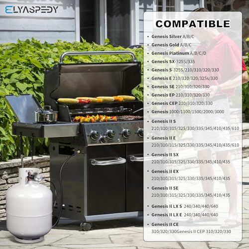 Elyaspedy Upgraded 23080901 Natural Gas to Propane Conversion Kit for ...
