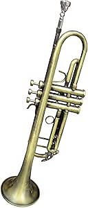 Amazon.com: Professional Student Trumpet Antique Silver Body Gold Key ...