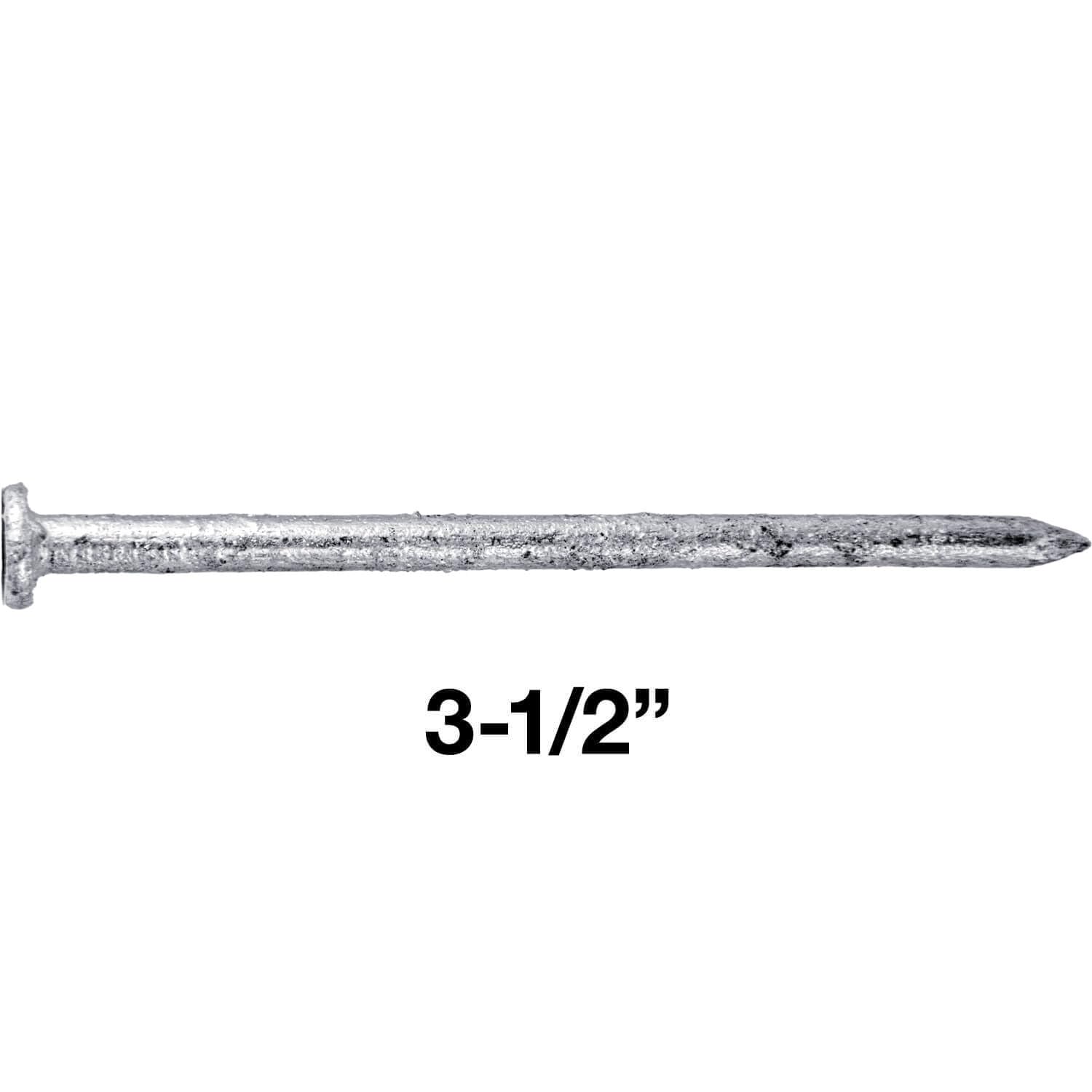 Snapklik.com : 3-1/2" Exterior Hot Dipped Galvanized Common Framing Nail