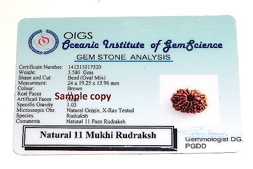 Buy Aanisha creations® 1 Ek Mukhi Gol Dana Nepali Rudraksha Original ...