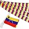 Amazon.com : Peru String Flag Pennant Banner - 38 Flags, 42 Feet Small ...