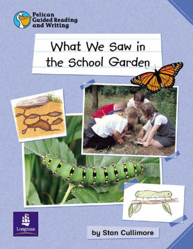 Pelican Guided Reading and Writing Year 1: What We Saw in the School ...