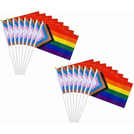 Amazon.com: 50 Pack Progress Rainbow Pride flag Small Mini Flag Hand ...