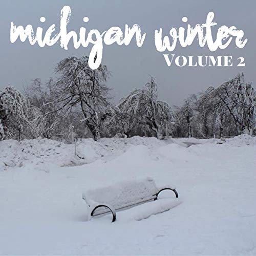 Amazon.com: Volume 2 : Michigan Winter: Digital Music