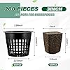 Amazon.com: Norme 100 Pcs 3 Inch Hydroponic Net Pots Plastic Slotted ...