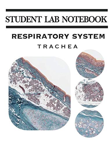 Stutend Laboratory Notebook : Respiratory system - Trachea: School ...