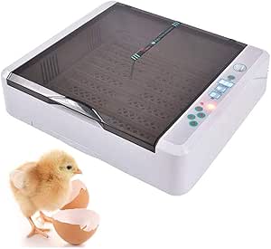 BOCbco All-in-One Egg Incubator, Incubators for Hatching Eggs, 36 Eggs ...