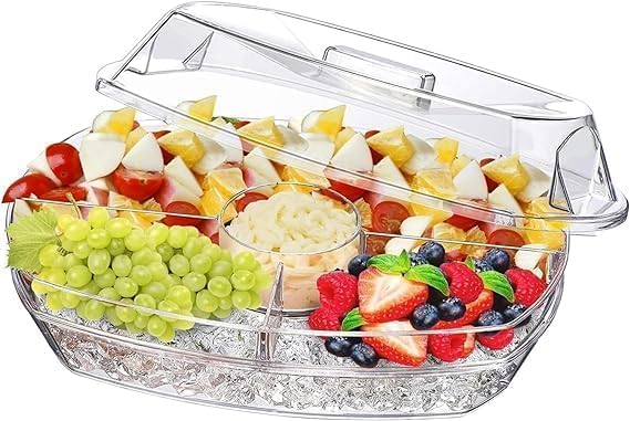 DROZIP 4 Section Ice Serving Tray, Cold Serving Tray with Flip-Lid for ...