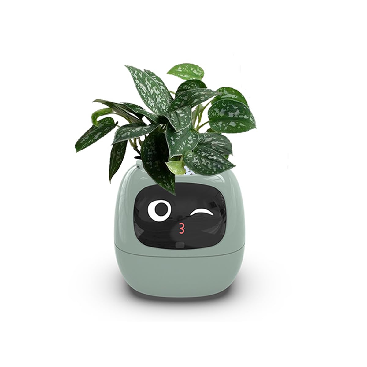 Amazon.com: TPHRAVAL Intelligent Flower Pot, Electronic Bud ...