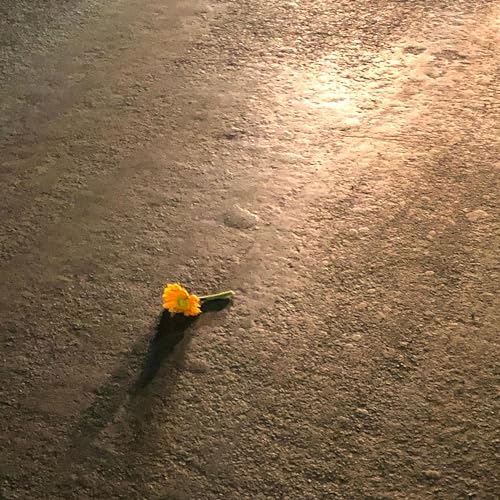 Écouter OH MERE SANAM (Radio Edit) par DR.UNKNOWN sur Amazon Music ...