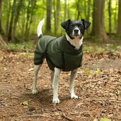 Amazon.com: Siccaro - RainForce 30 - (S2075) : Video Games