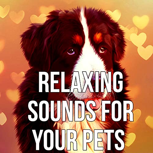Écouter Relaxing Sounds for Your Pets – Pet Relaxation, Stress Relief ...