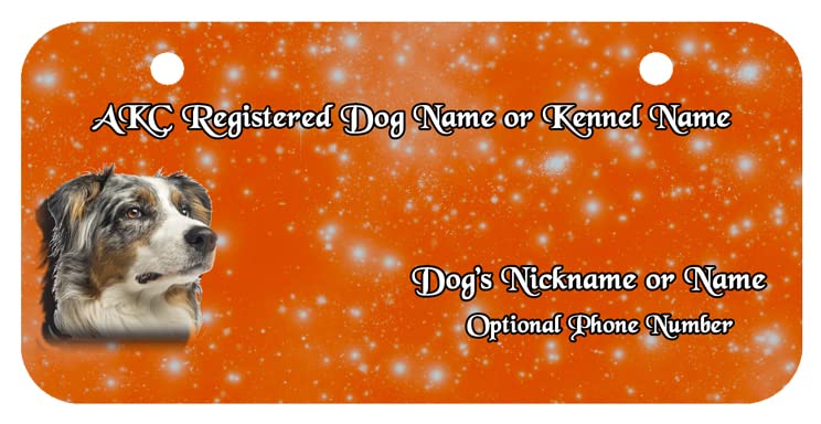 Amazon.com: Personalized Dog Crate ID Tag | Crate Tag | Personalized ...