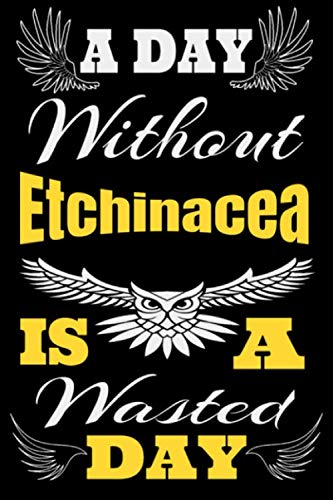 A Day Without Etchinacea is a Wasted Day: Etchinacea Notebook Gifts For ...