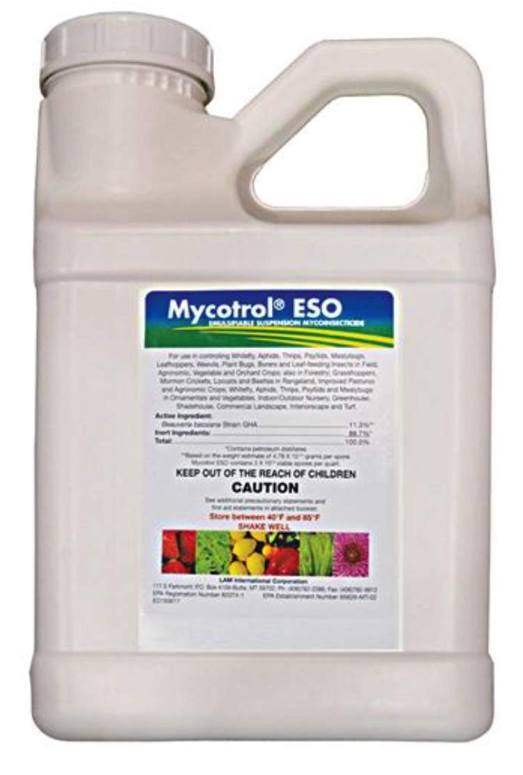 Amazon.com : BIOWORKS Mycotrol ESO 1 gallon : Patio, Lawn & Garden