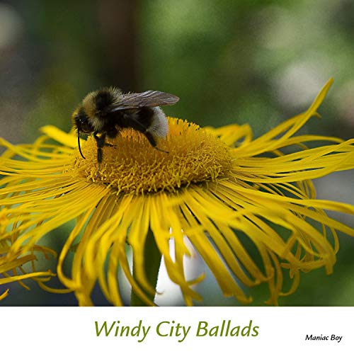 Play Windy City Ballads by Maniac Boy on Amazon Music