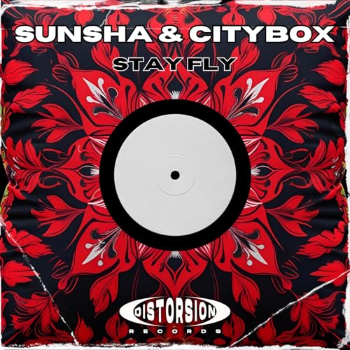 Stay Fly song by Sunsha & Citybox from Stay Fly on Amazon Music