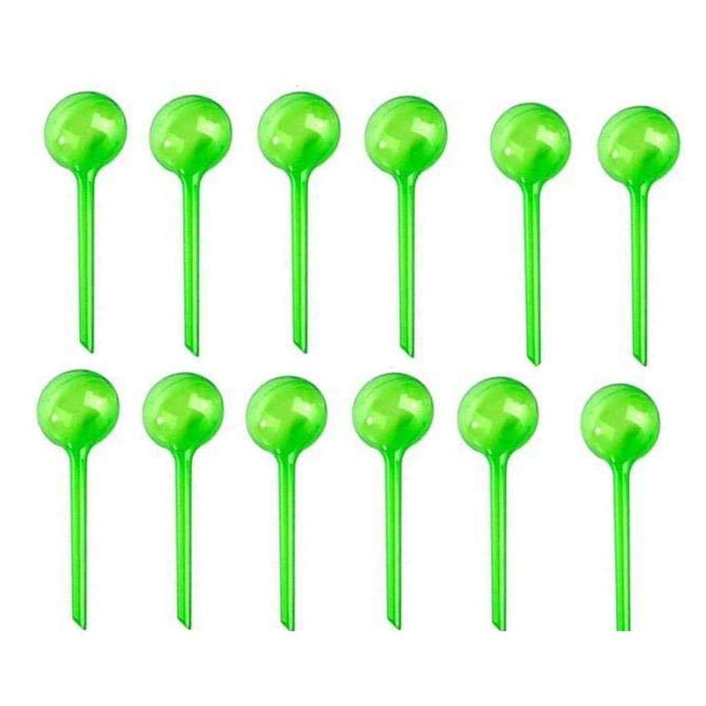 fast-delivery-to-your-doorstep-green-certified-buy-online-here-6-pcs-p