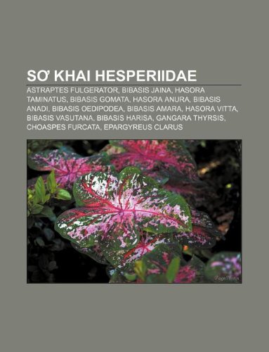 Amazon.co.jp: S Khai Hesperiidae: Astraptes Fulgerator, Bibasis Jaina ...
