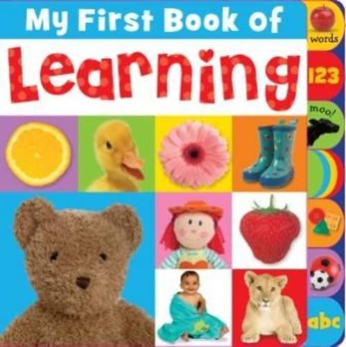 My First Book of Learning: Joanna Bicknell: 9781848791695: Amazon.com ...