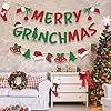 Amazon.com: Christmas Decorations – Glittery Merry Grinchmas Banner and ...