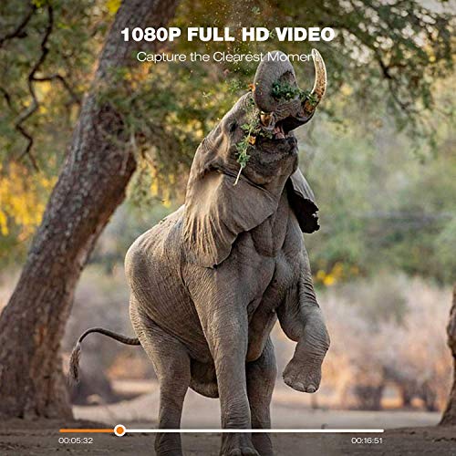 YTREW Product Guide: 5 Best Things to Buy from YTREW (June 2025 ...