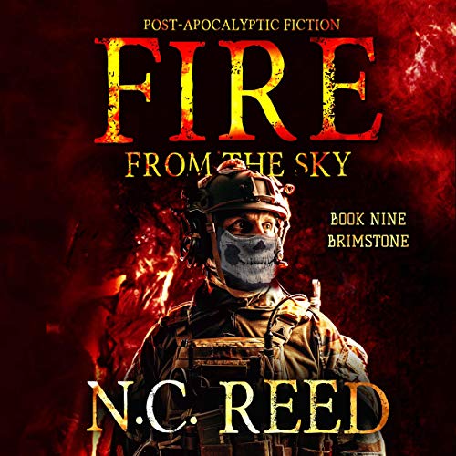 Fire from the Sky: Hostile Fire: Fire from the Sky Series, Book 7 ...