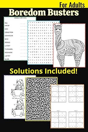 Amazon.com: Boredom Busters for Adults: An Adult Activity Book with ...